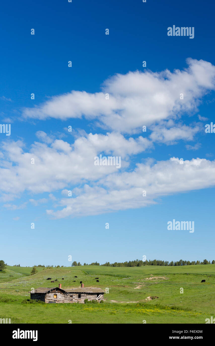 USA, Montana, Fergus County, Old homestead Stock Photo - Alamy