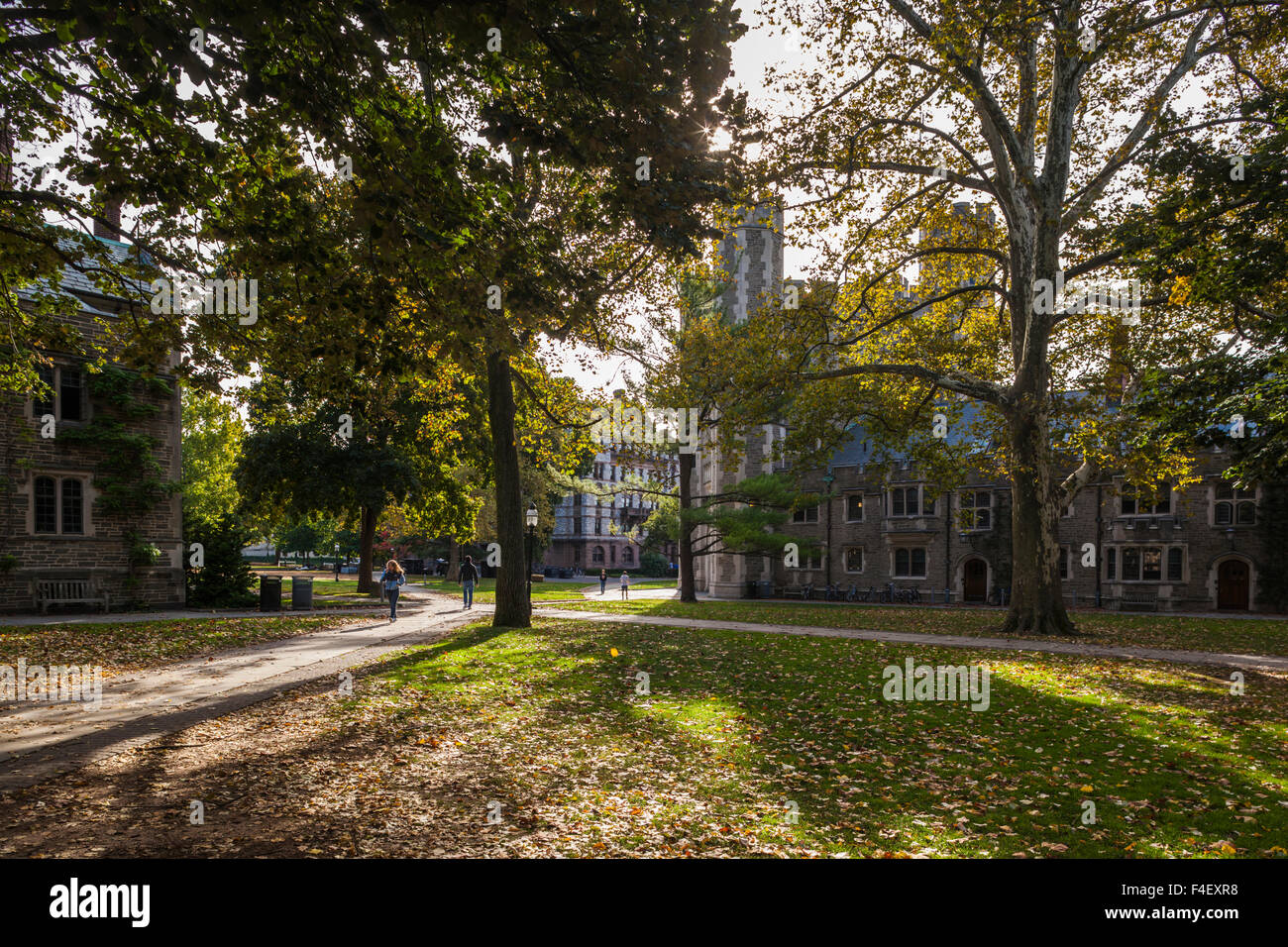 Usa princeton university campus hi-res stock photography and images - Alamy