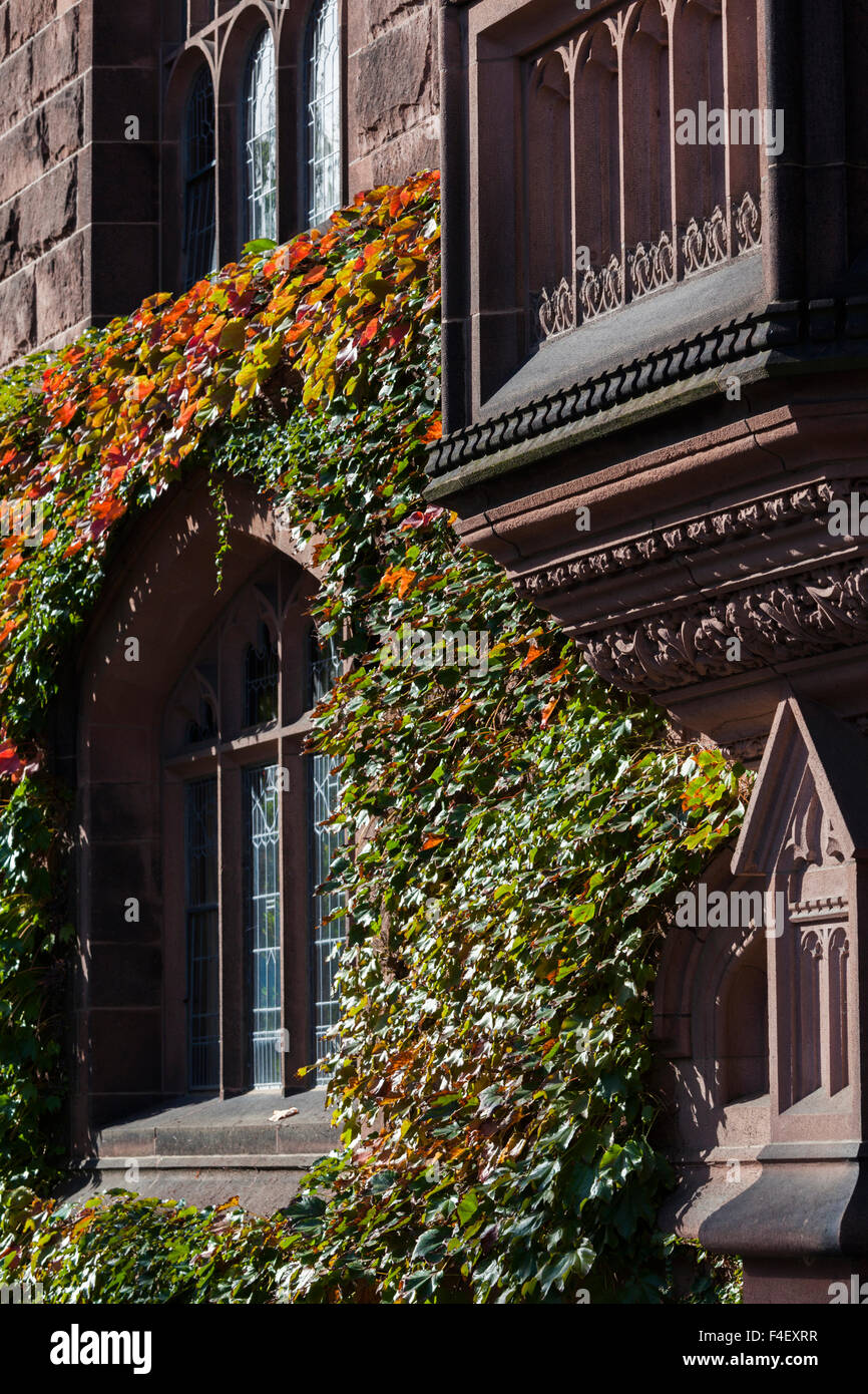 USA, New Jersey, Princeton, Princeton University, ivy covered buildings ...