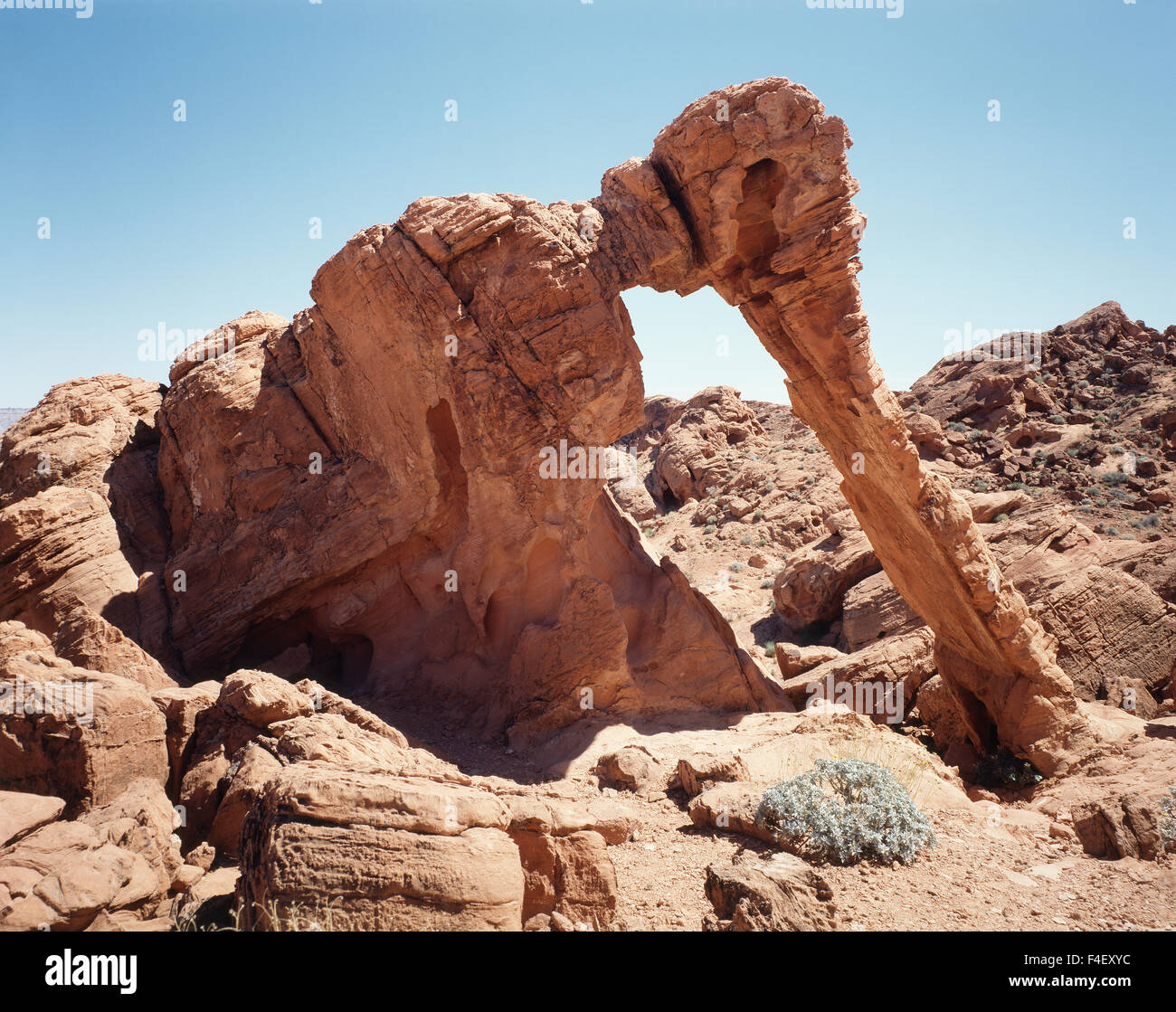 Nevada, Valley of Fire State Park, Elephant Rock sandstone formation ...