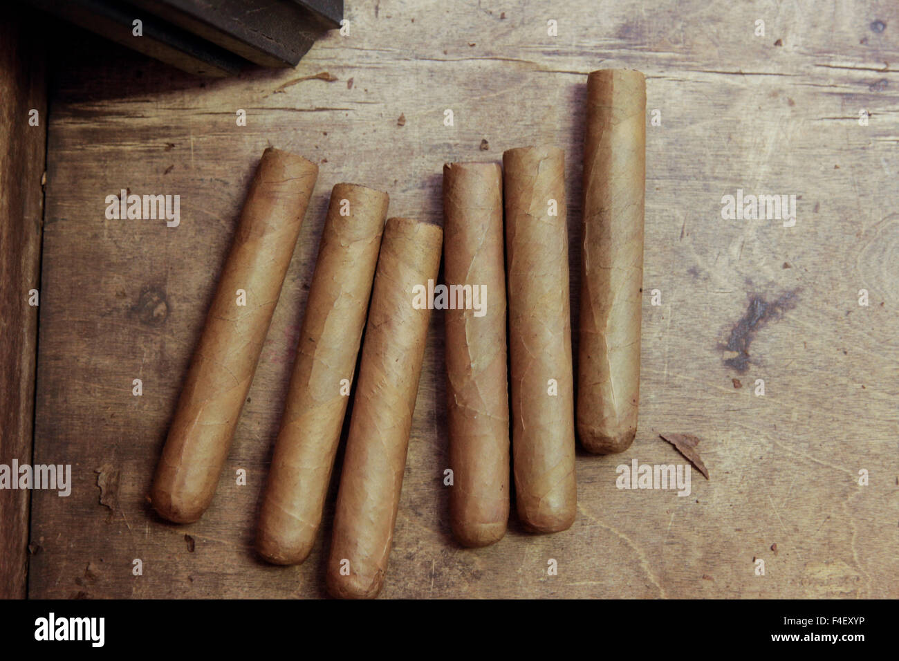 Hand rolled cigars, Las Vegas, Nevada. USA Stock Photo - Alamy