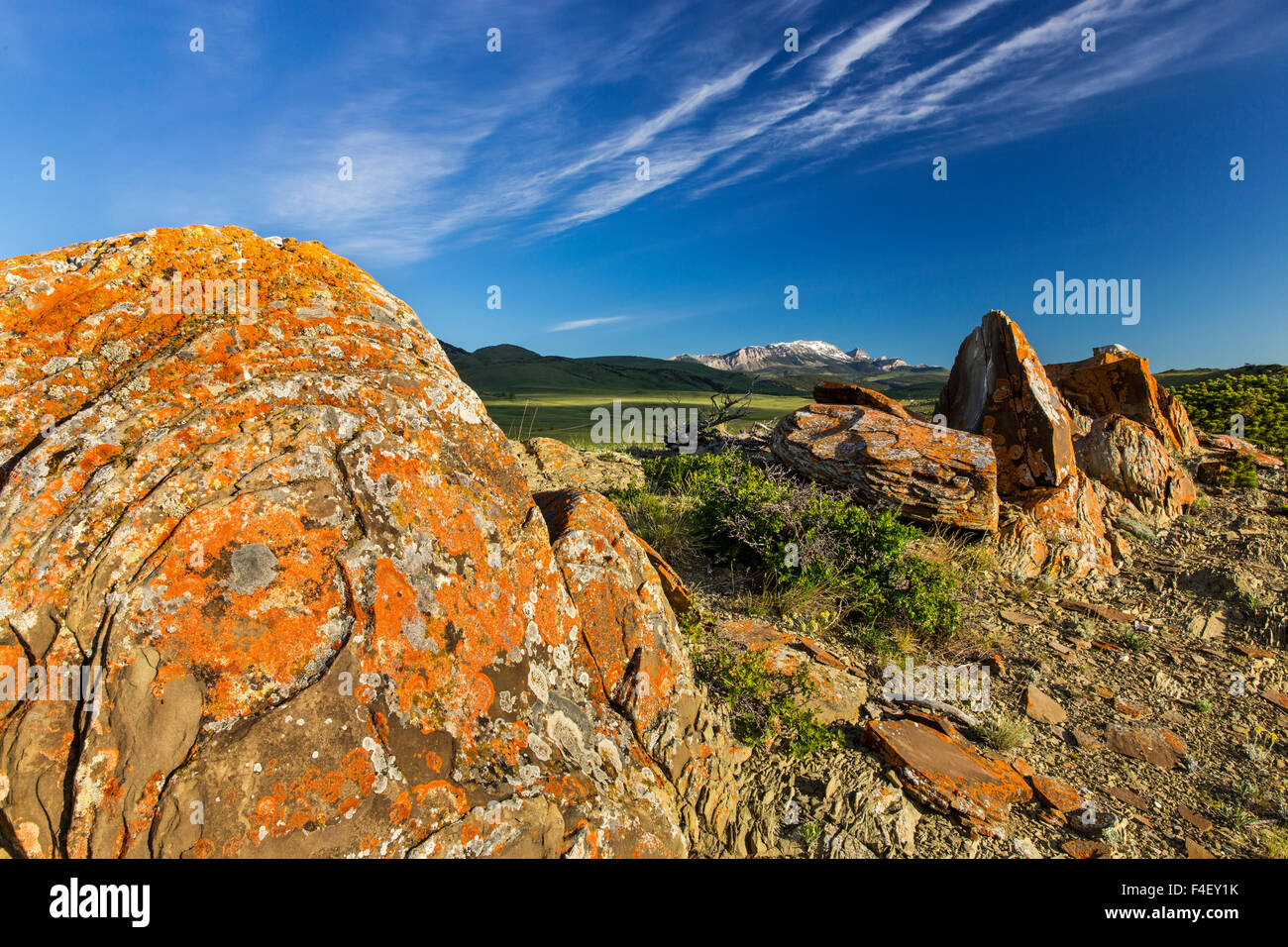 Lichen encrusted sandstone on prairie reef along the Rocky Mountain ...