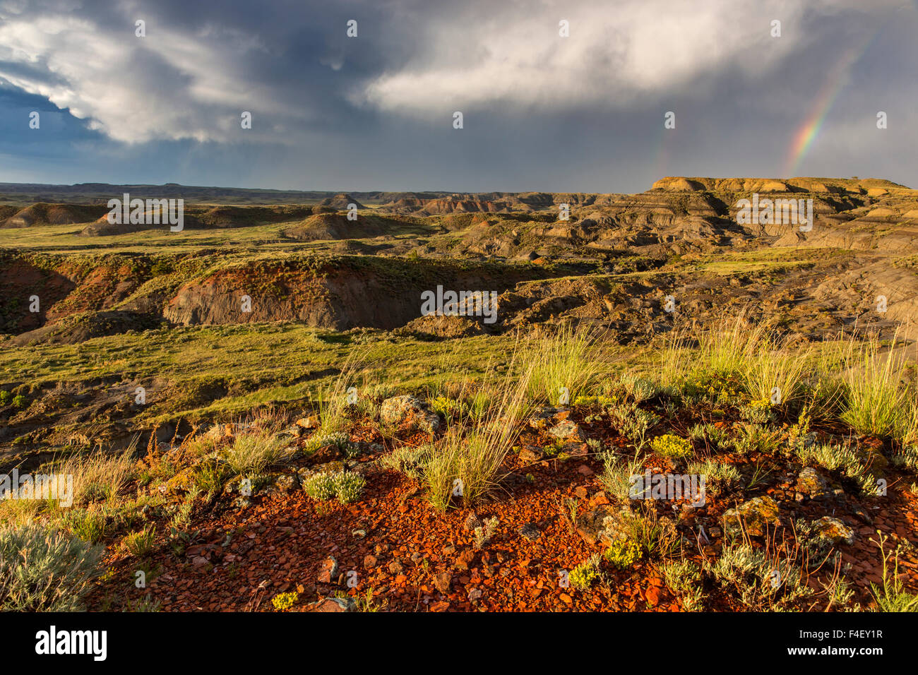 Colorful badlands after a thunderstorm near Fort Peck Reservoir near ...