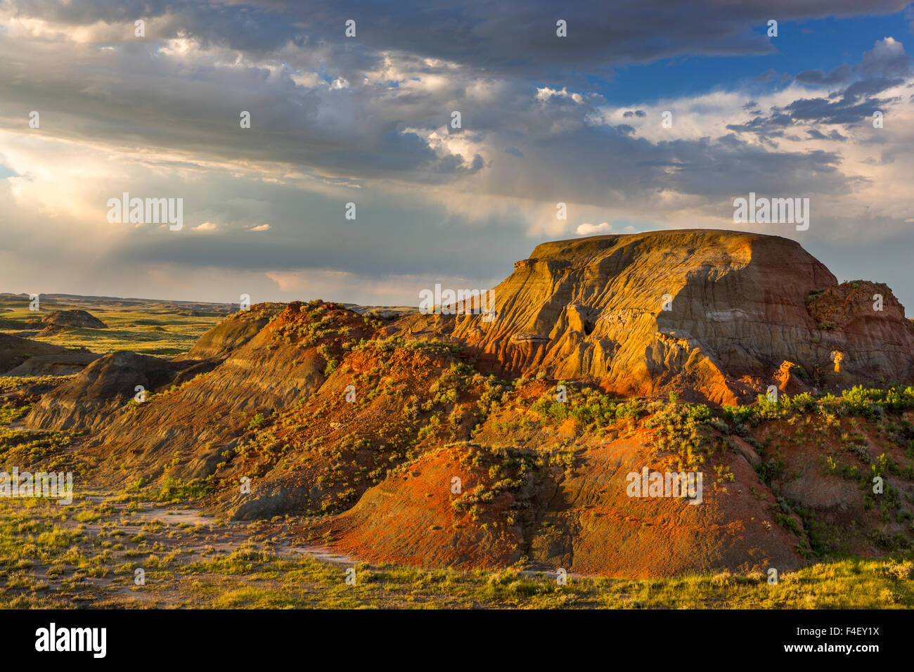 Colorful badlands near Fort Peck Reservoir near Jordan, Montana, USA ...