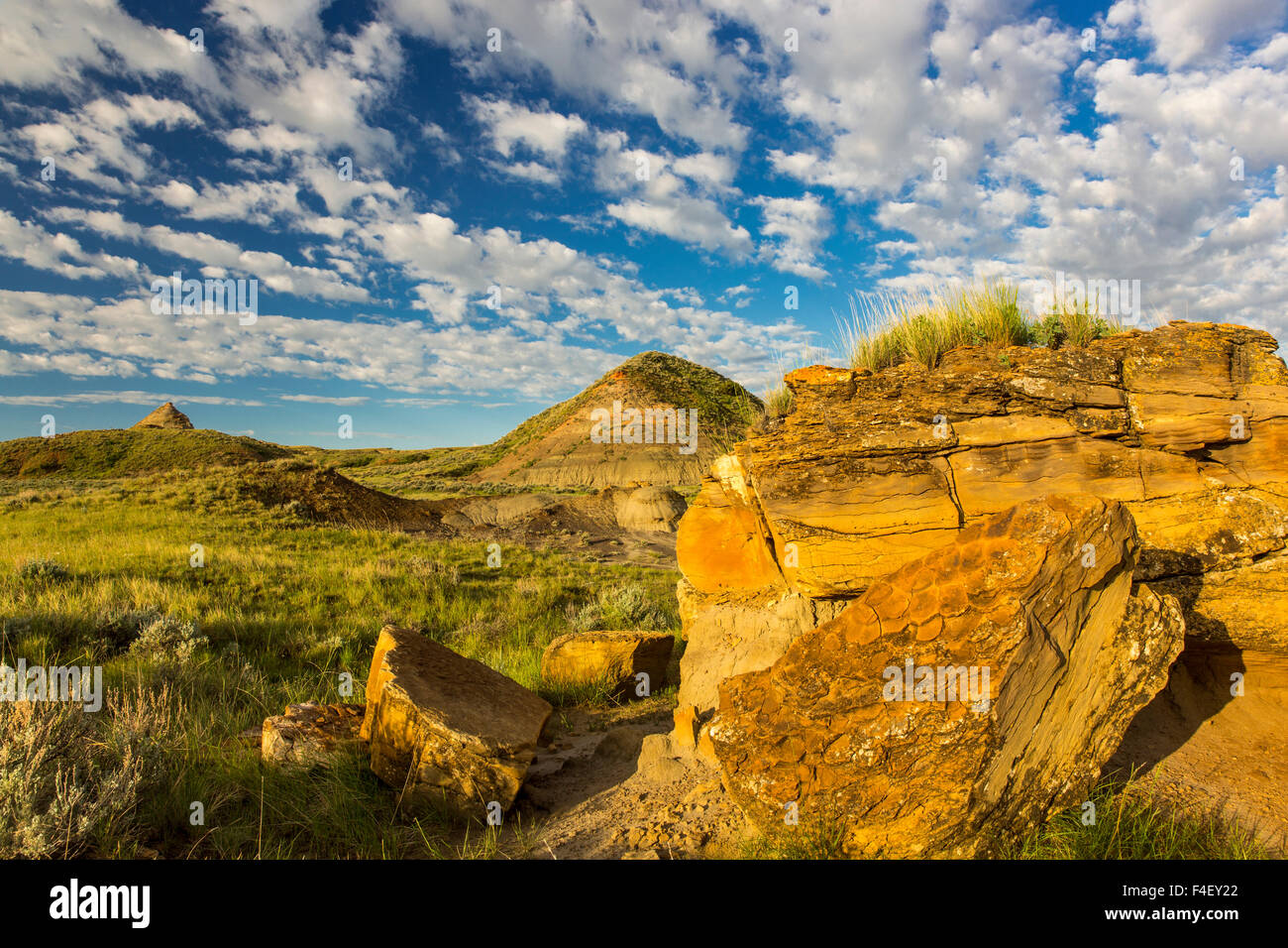 Colorful badlands near Fort Peck Reservoir near Jordan, Montana, USA ...