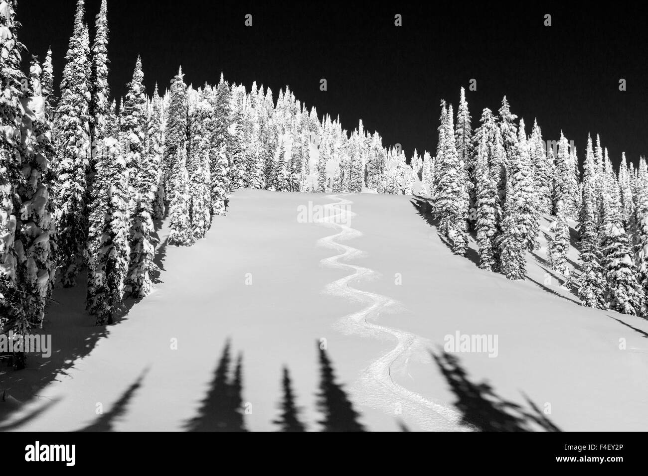 Off track skiing Black and White Stock Photos & Images - Alamy