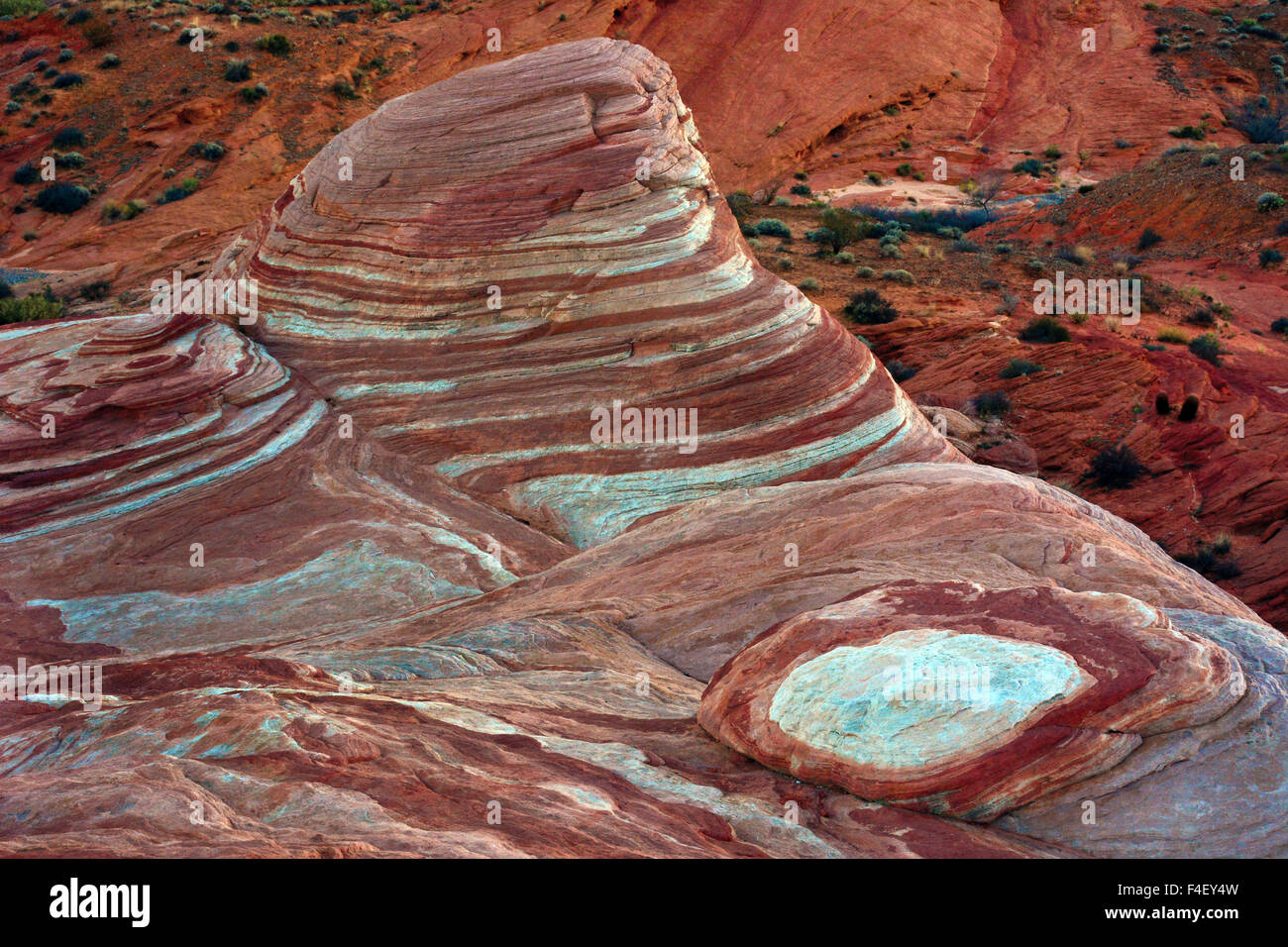 Evening at Fire Wave rock formation in Valley of Fire State Park ...