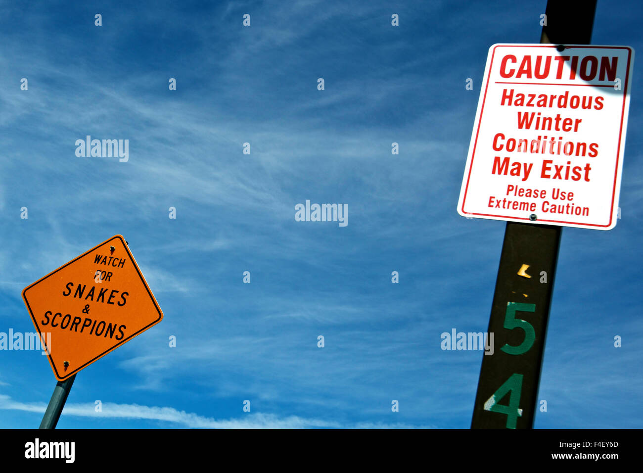 Scorpion warning sign hi-res stock photography and images - Alamy