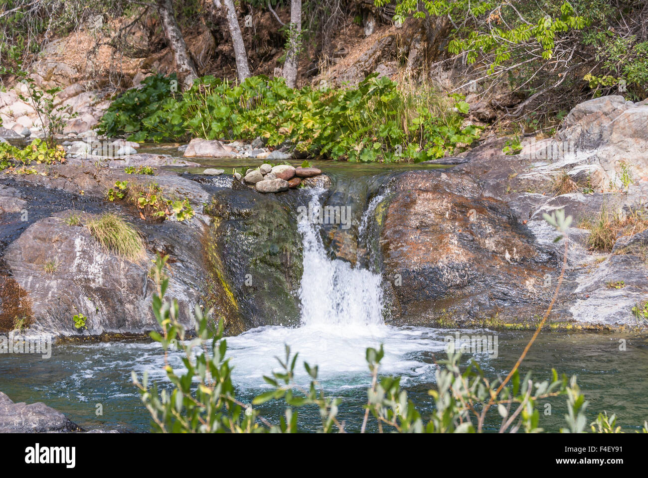 Small waterfall surrounded by vegetation and rocks. Shot for screen ...