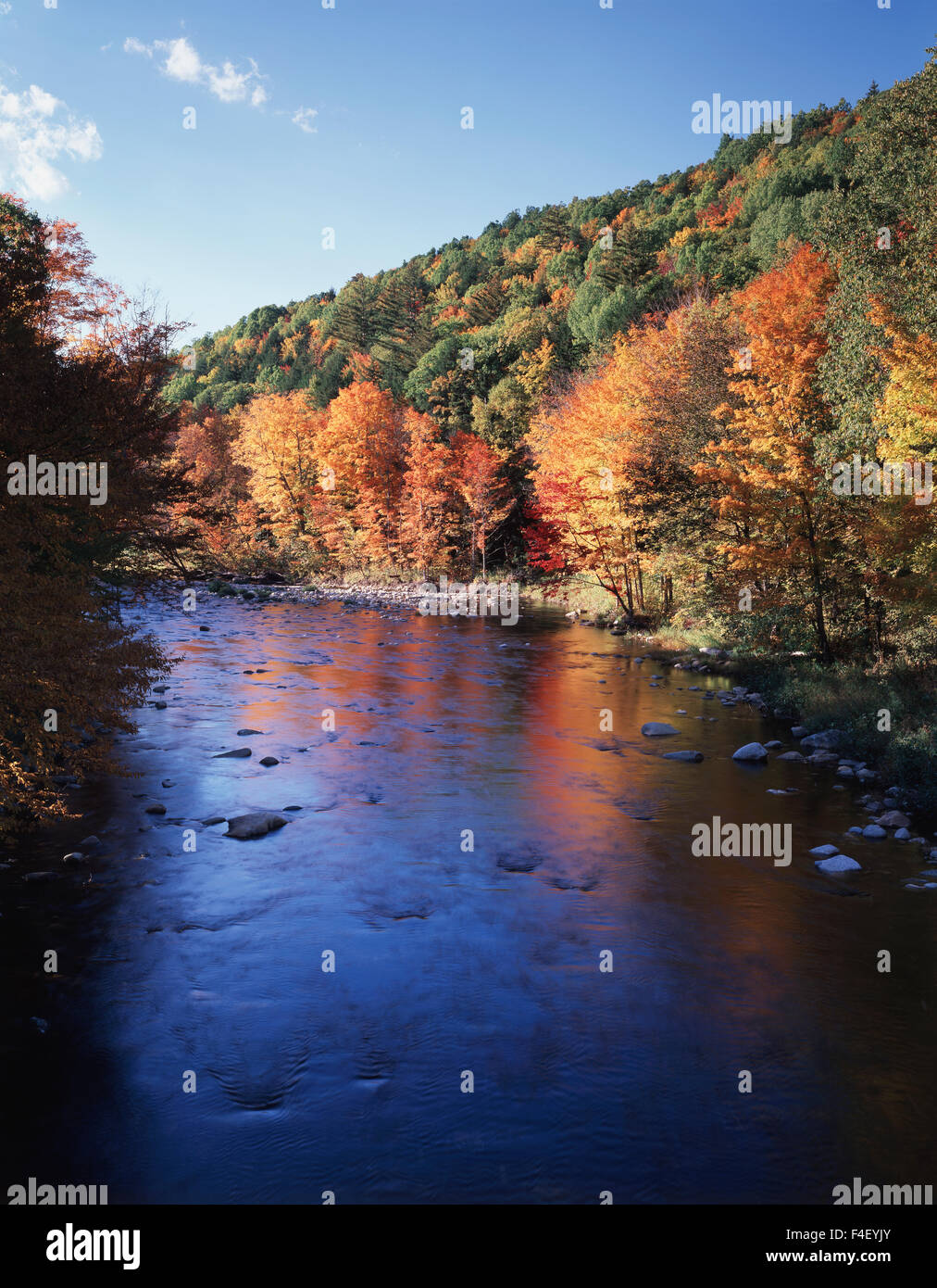 New Hampshire, White Mountains National Forest, The autumn colors of ...