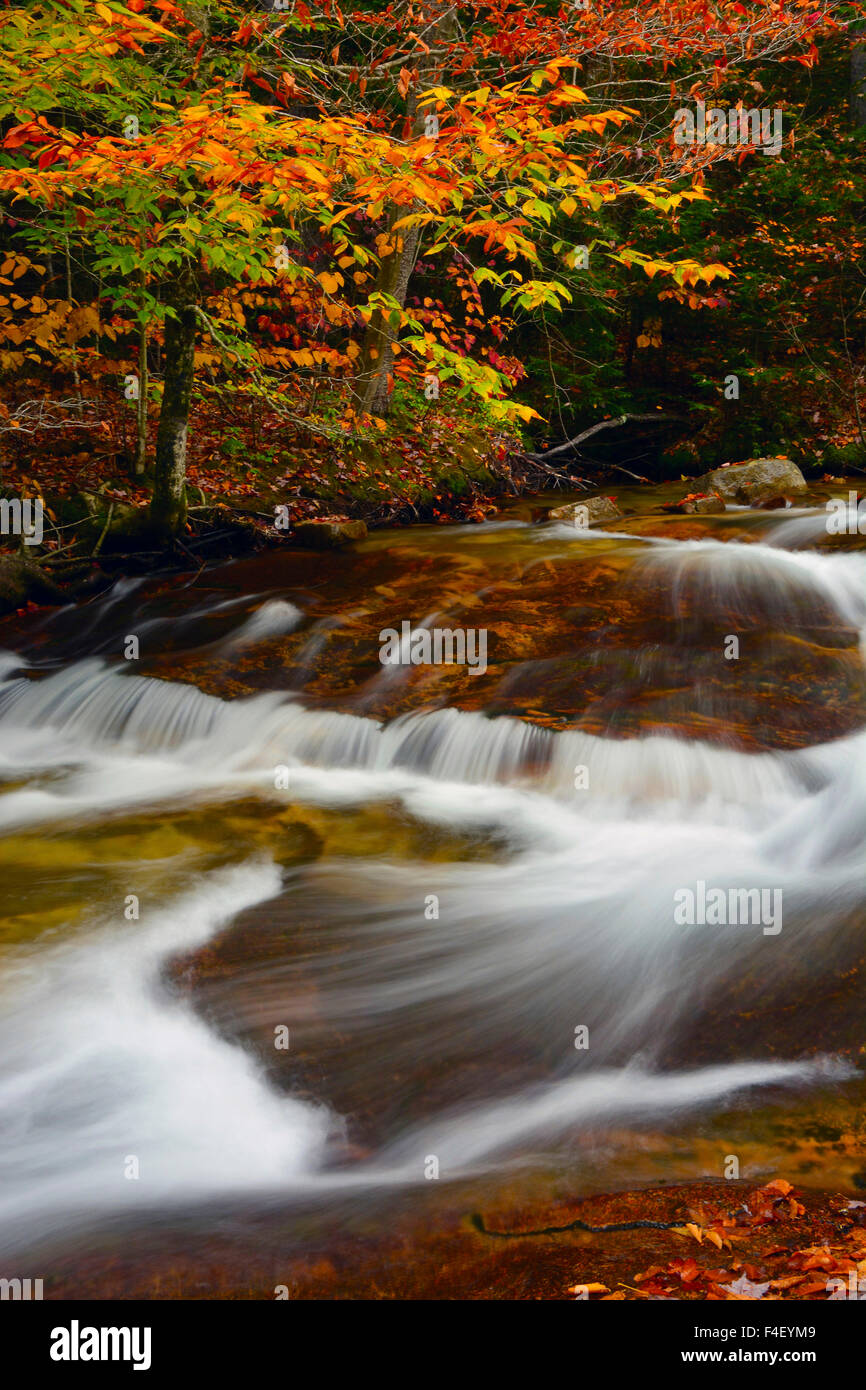 Pemigewasset River, Pemigewasset Trail, Franconia Notch State Park, New ...