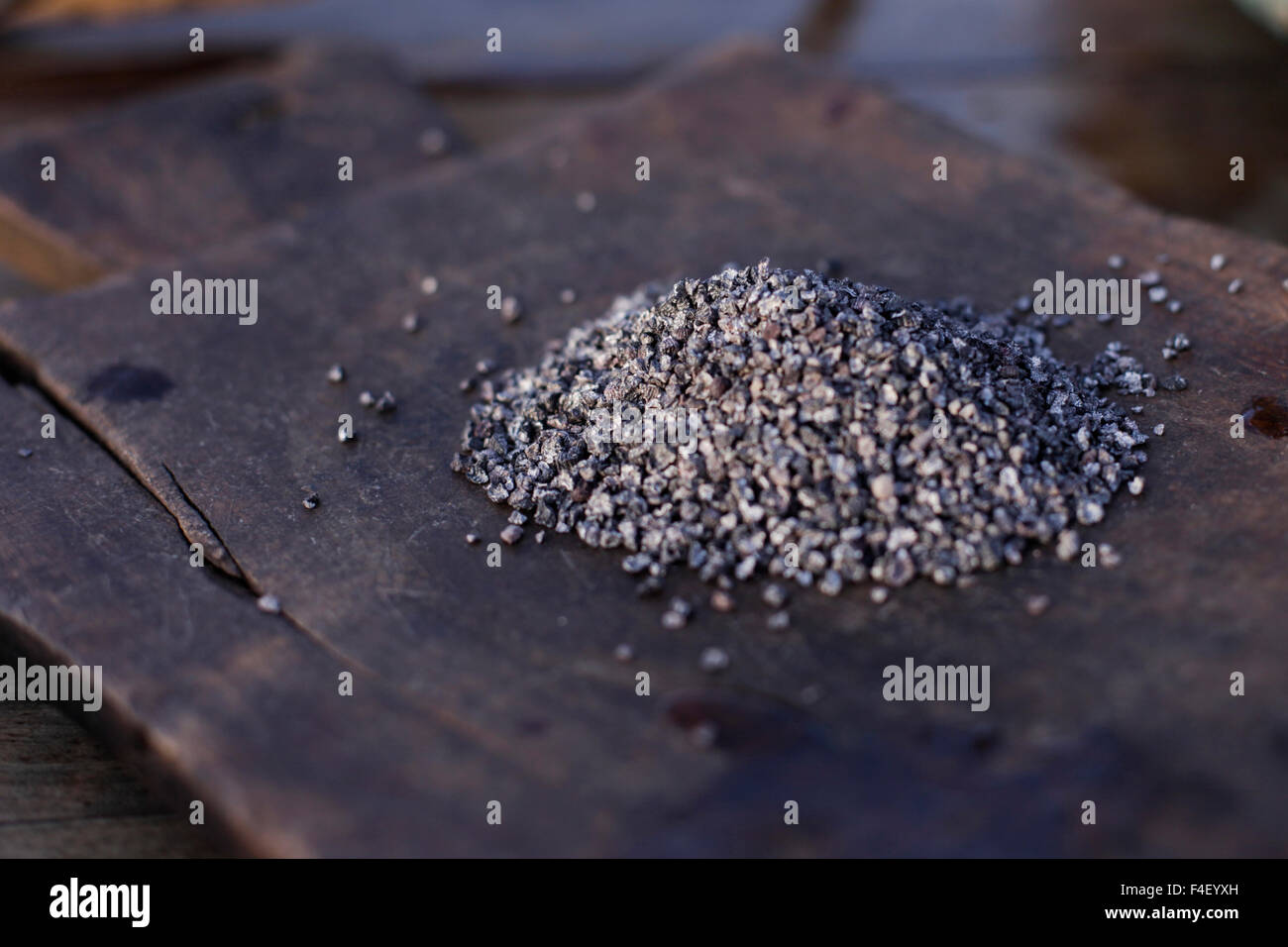 Santa Fe, New Mexico, USA. Clothing designer, Nancy Traugott and ...