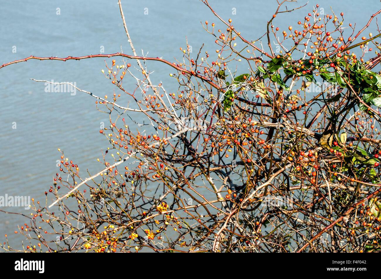 USA, New Jersey, Hudson River Basin, Alpine Lookout on the Hudson River ...