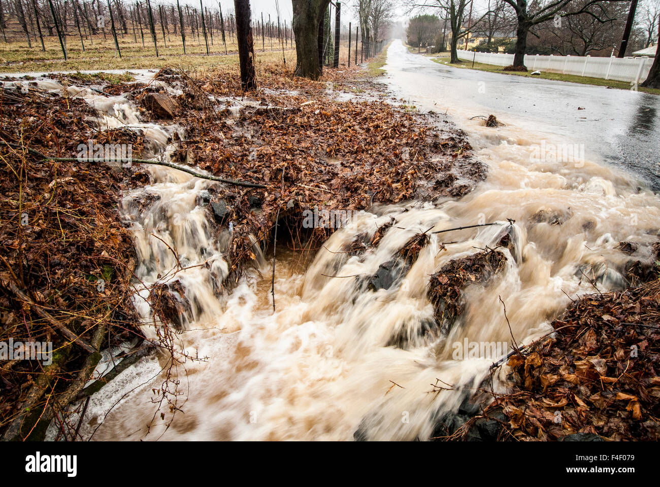 USA, New Jersey, Oldwick, ditch overflowing down King Street ...