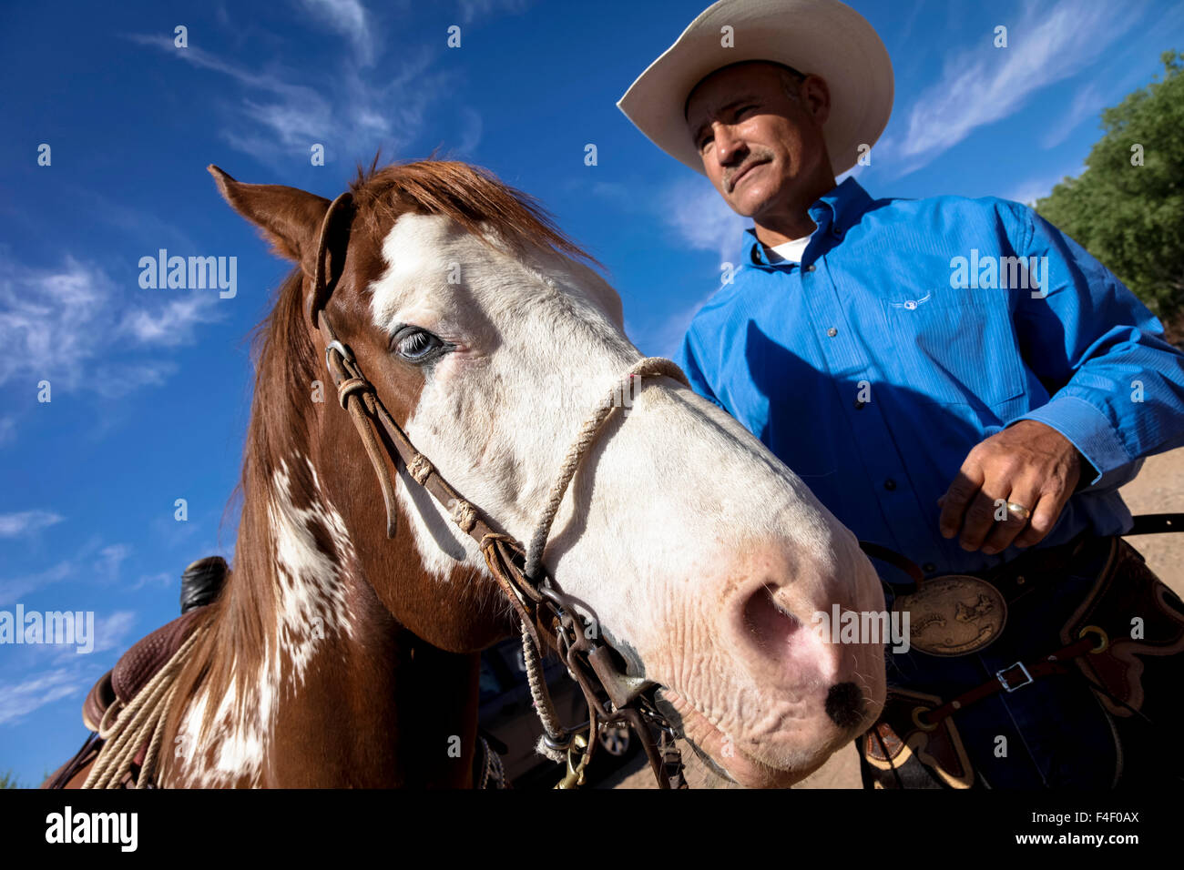 Mr buckle hi-res stock photography and images - Alamy