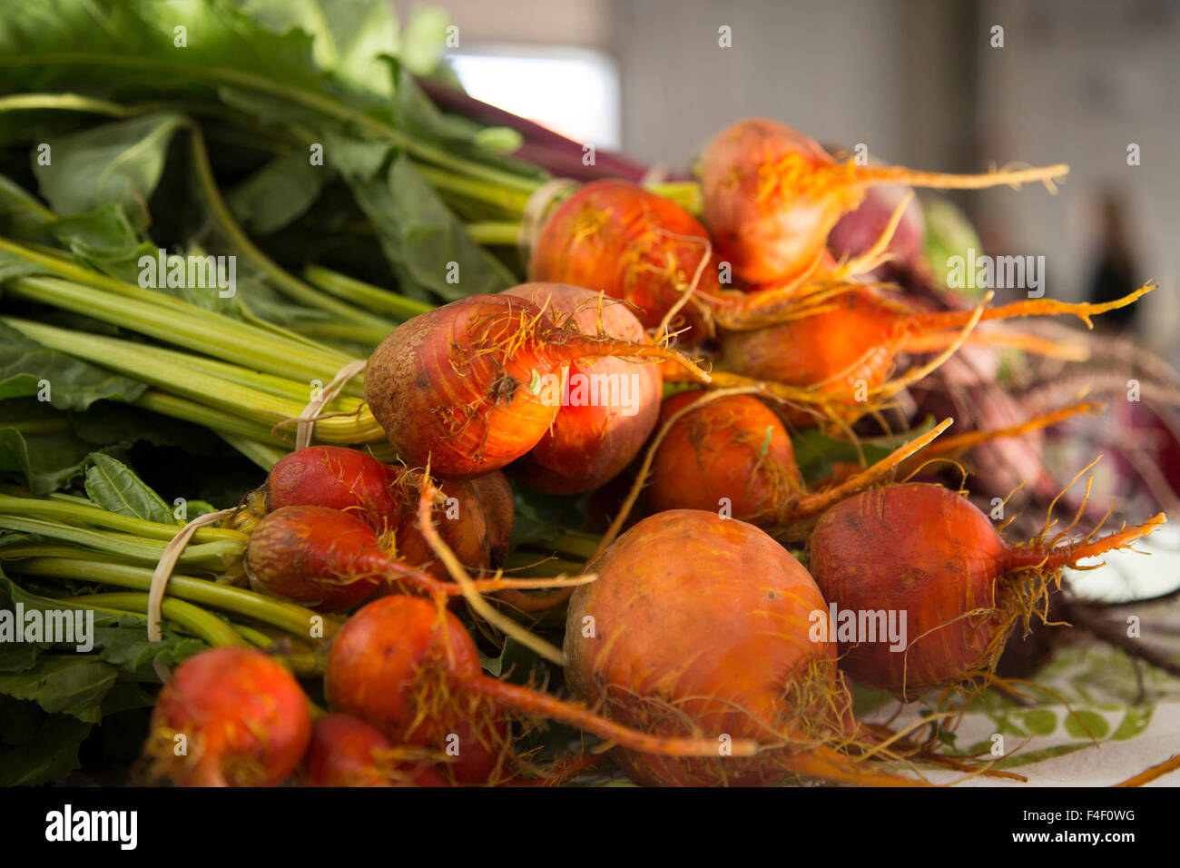 Golden beets, Santa Fe, New Mexico, United States Stock Photo - Alamy