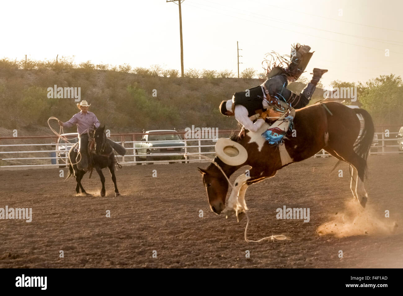 Bucking Bronco Competition in the rodeo, Truth or Consequences, New ...