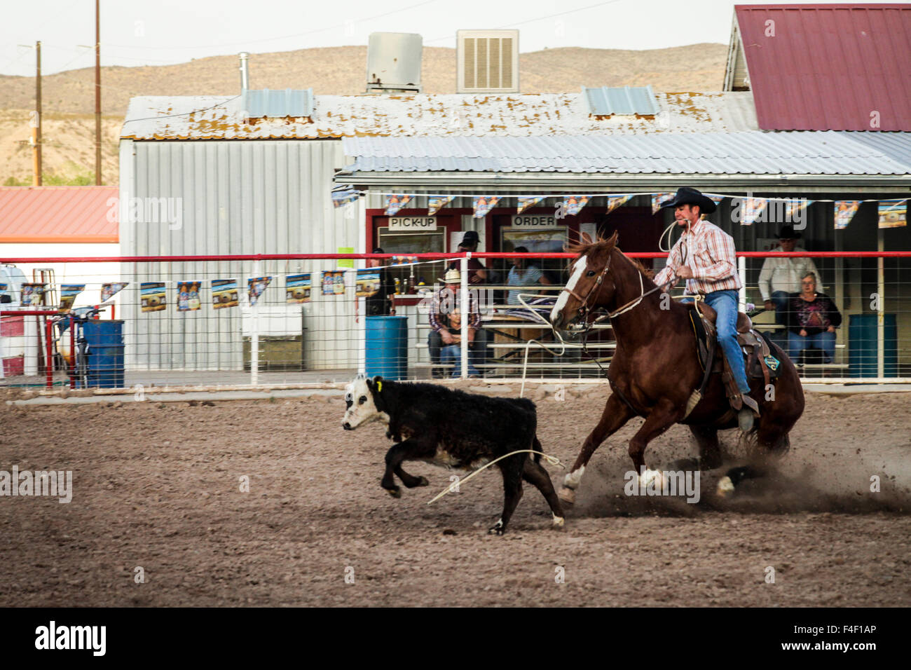 Wrangling cattle hi-res stock photography and images - Alamy
