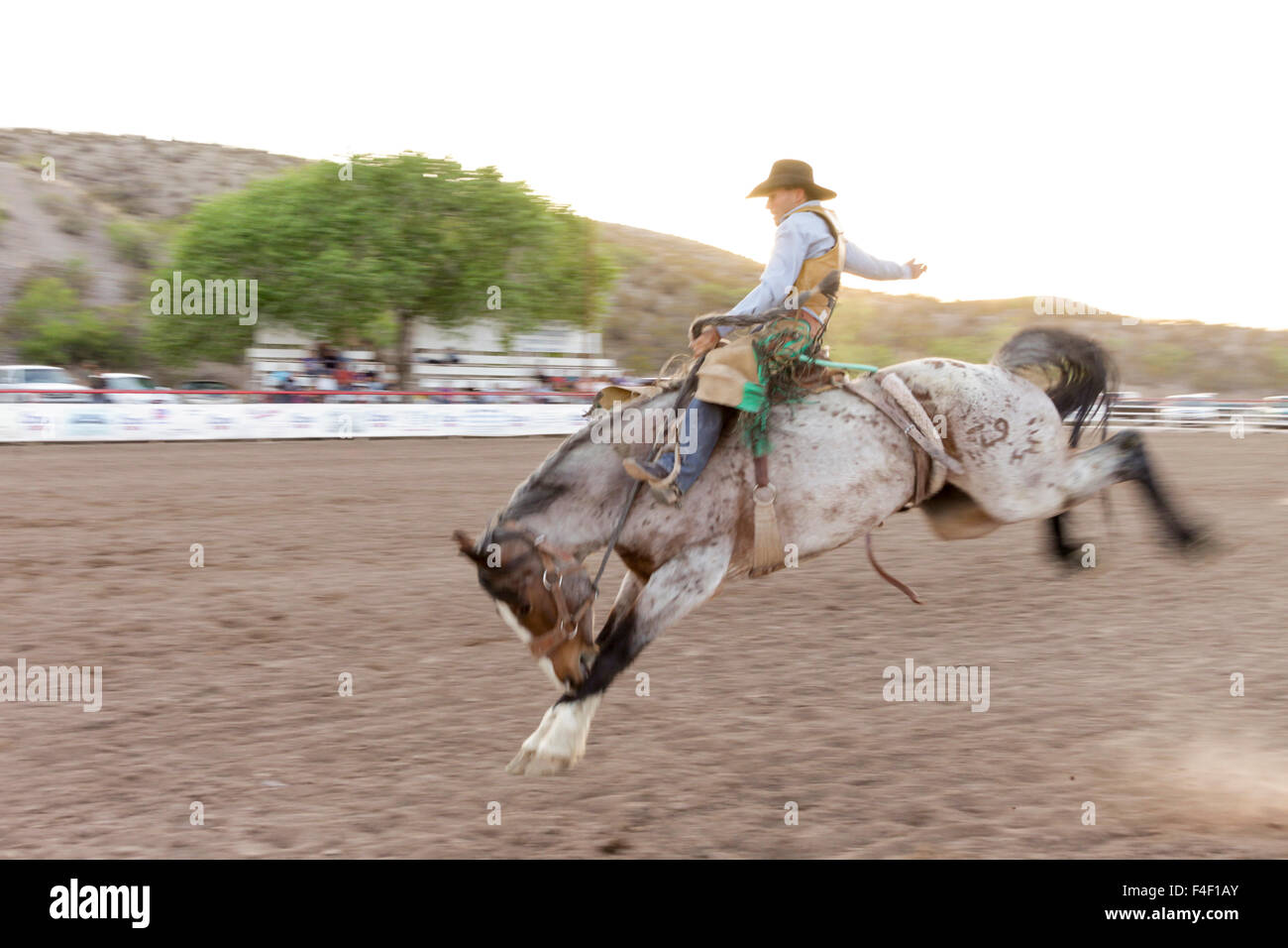 Bucking bronco rider hi-res stock photography and images - Alamy