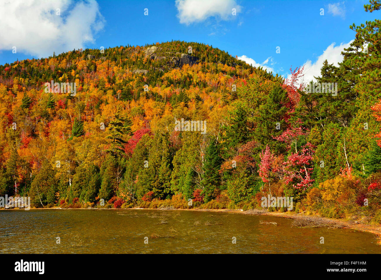Heart lake adirondack new york hi-res stock photography and images - Alamy