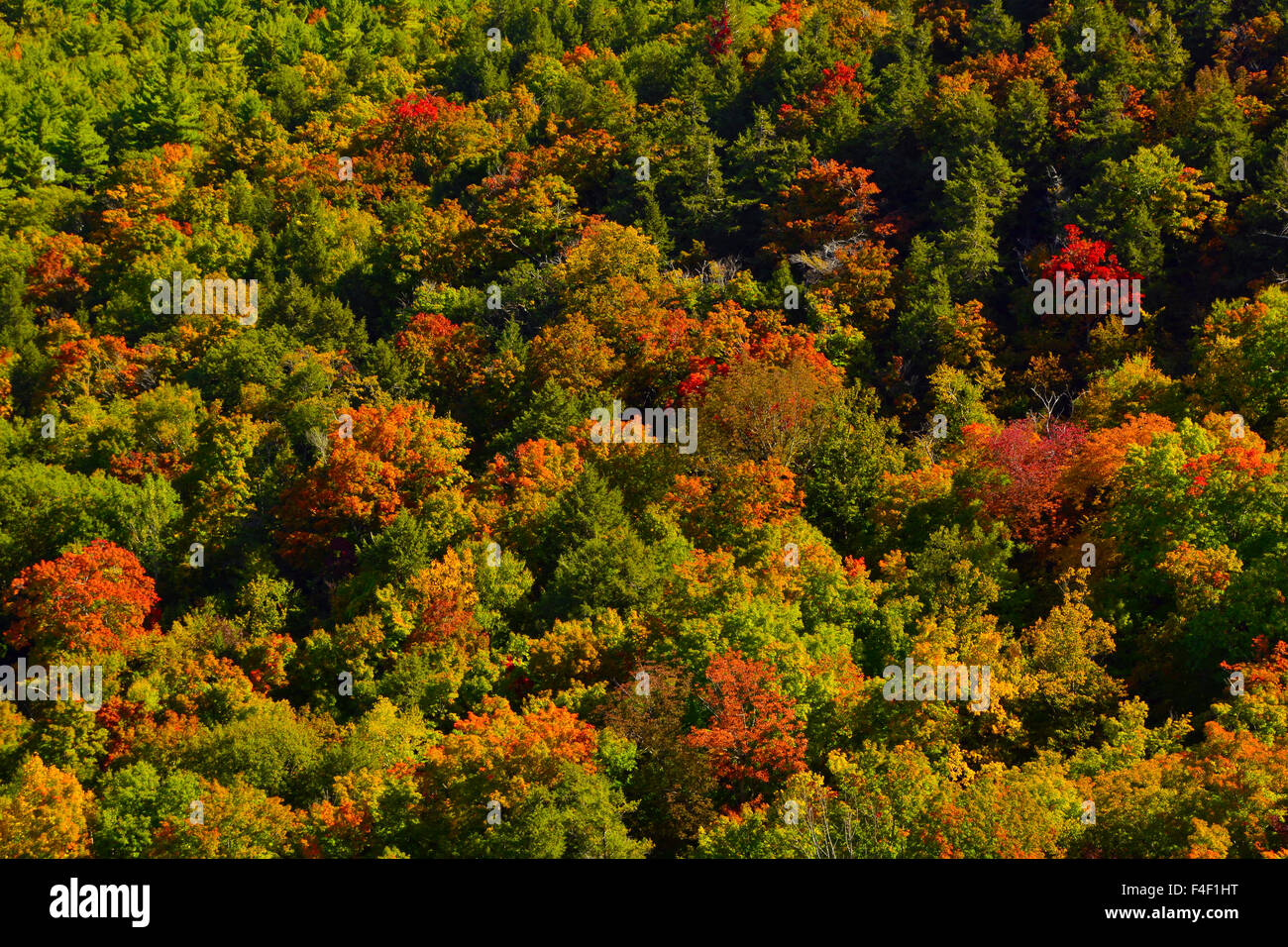 Fall colors at John Boyd Thatcher State Park, New York, USA Stock Photo ...
