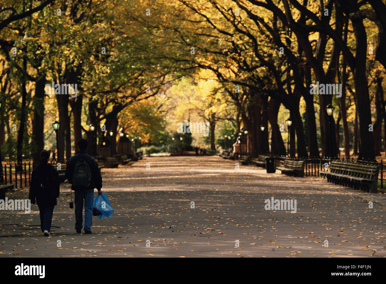 USA, New York, New York city, Man and woman walking in Central Park ...