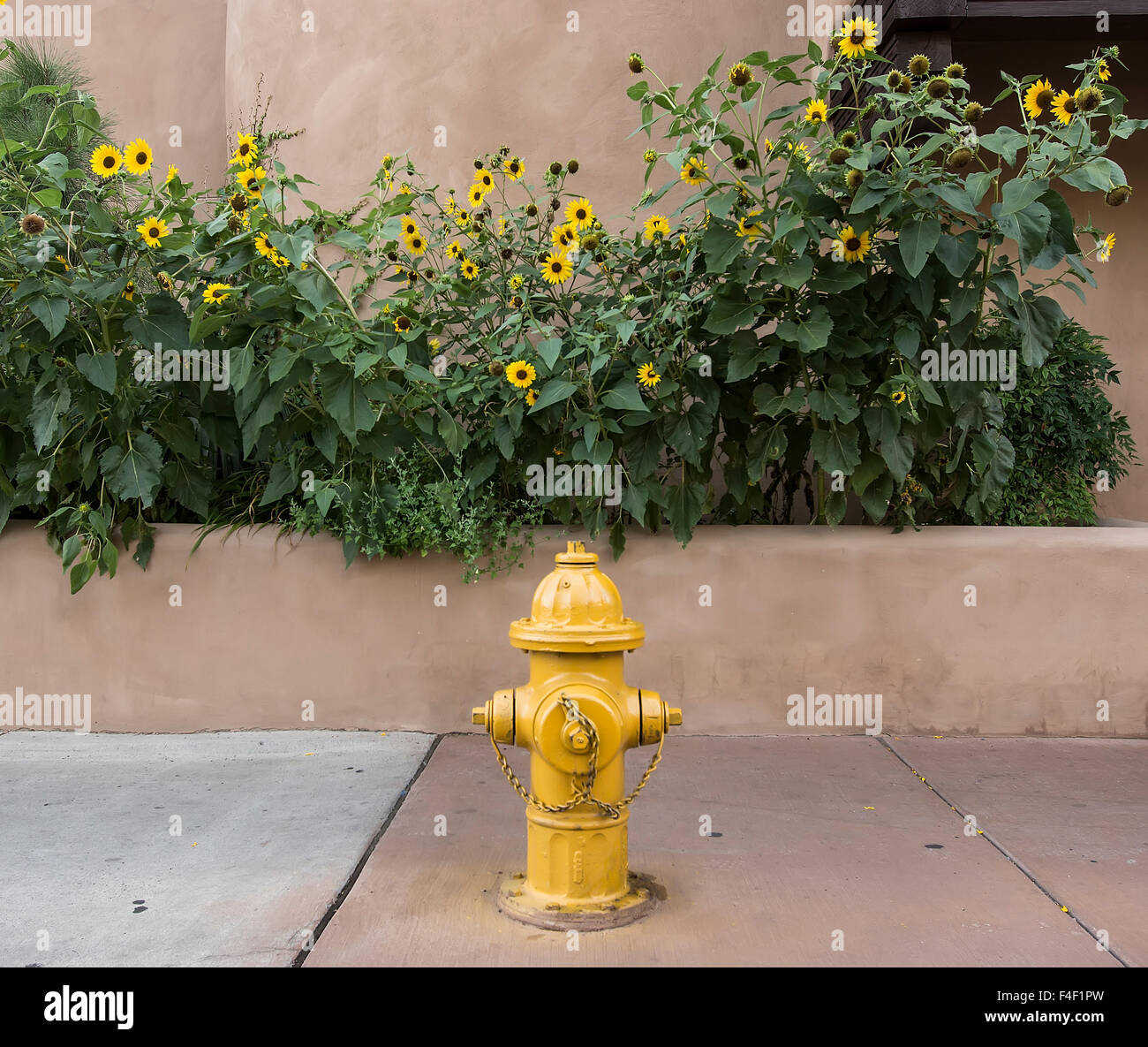 USA, New Mexico, Santa Fe. Fire hydrant Downton Santa Fe, New Mexico ...