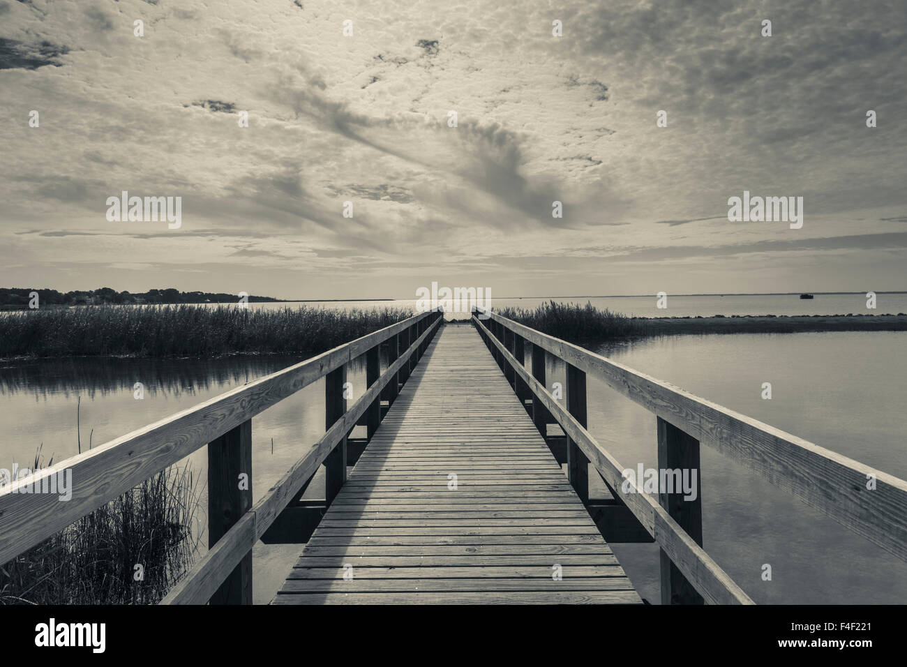 North Carolina, Outer Banks National Seashore, Corolla, marsh boardwalk ...