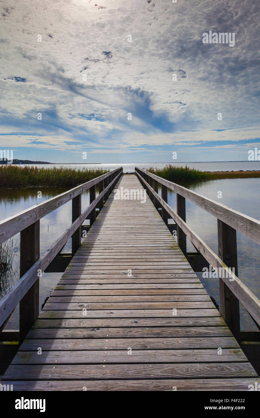 North Carolina, Outer Banks National Seashore, Corolla, marsh boardwalk ...