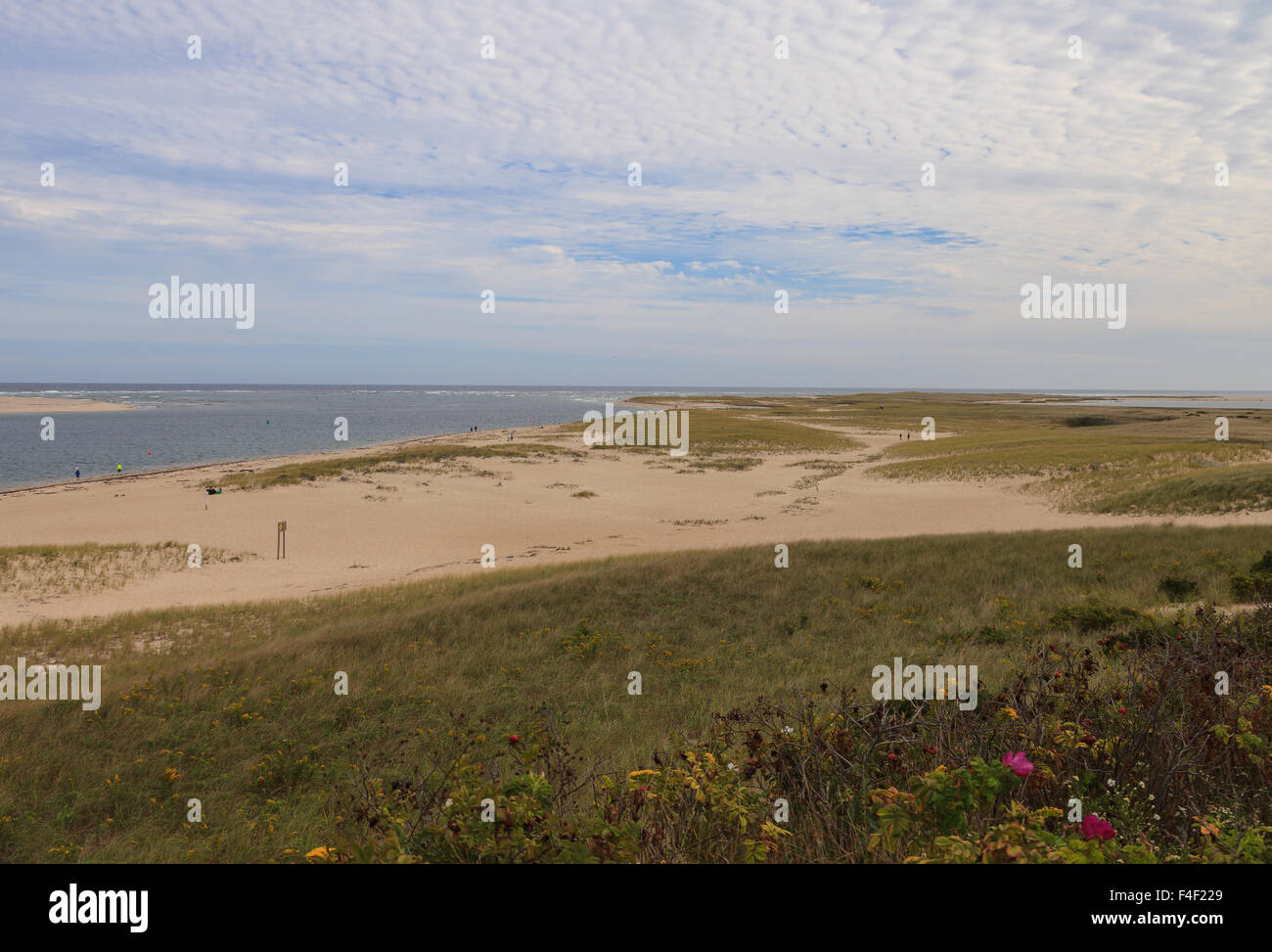 Beach dunes in summer in Chatham, Massachusetts on Cape Cod Stock Photo ...