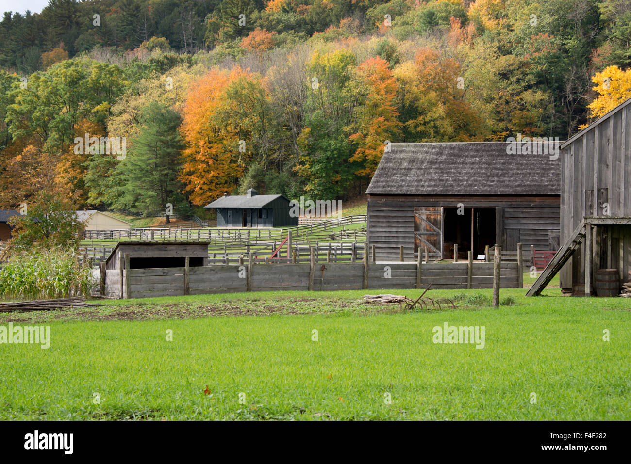 New York, Cooperstown, Farmers Museum. Historic wooden barn in the fall ...