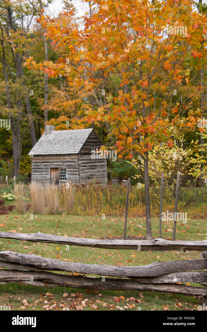 New York, Cooperstown, Fenimore Art Museum. The historic Seneca Log ...