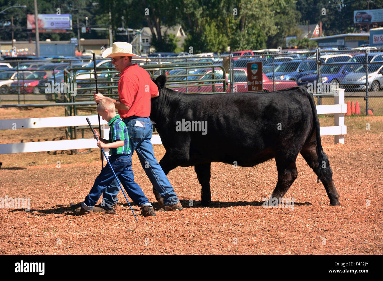 Angus young family hi-res stock photography and images - Alamy
