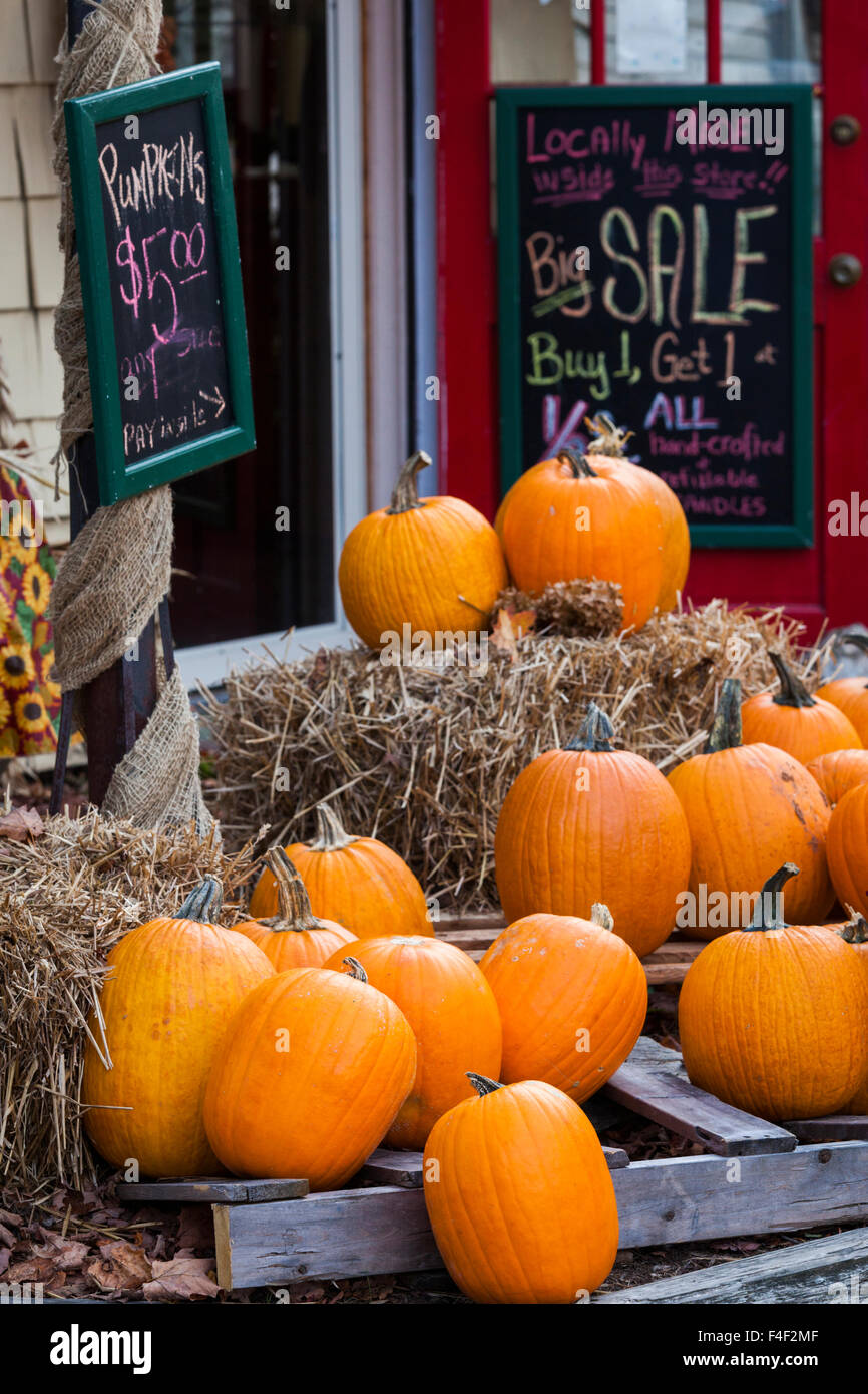 North Carolina, Blowing Rock, pumpkins, autumn Stock Photo - Alamy
