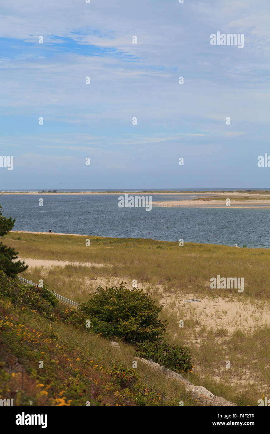 Beach dunes in summer in Chatham, Massachusetts on Cape Cod Stock Photo ...