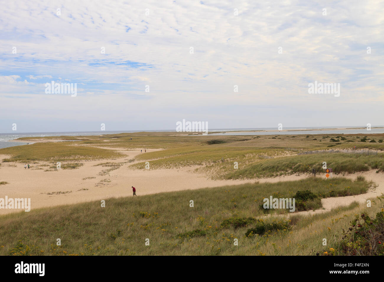 Beach dunes in summer in Chatham, Massachusetts on Cape Cod Stock Photo ...