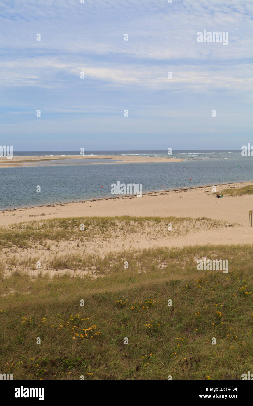 Boat in sand beach cape cod hi-res stock photography and images - Alamy