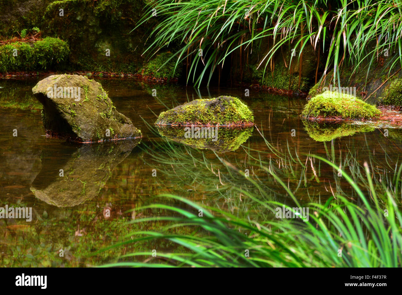 Moss covered rocks, reflecting, pool, Wild Garden, Portland Japanese ...