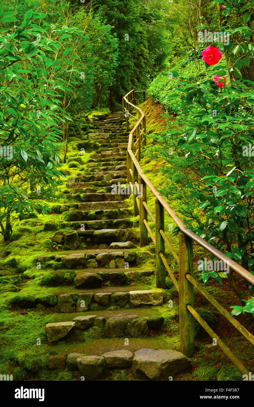 Climb upward movement hi-res stock photography and images - Alamy