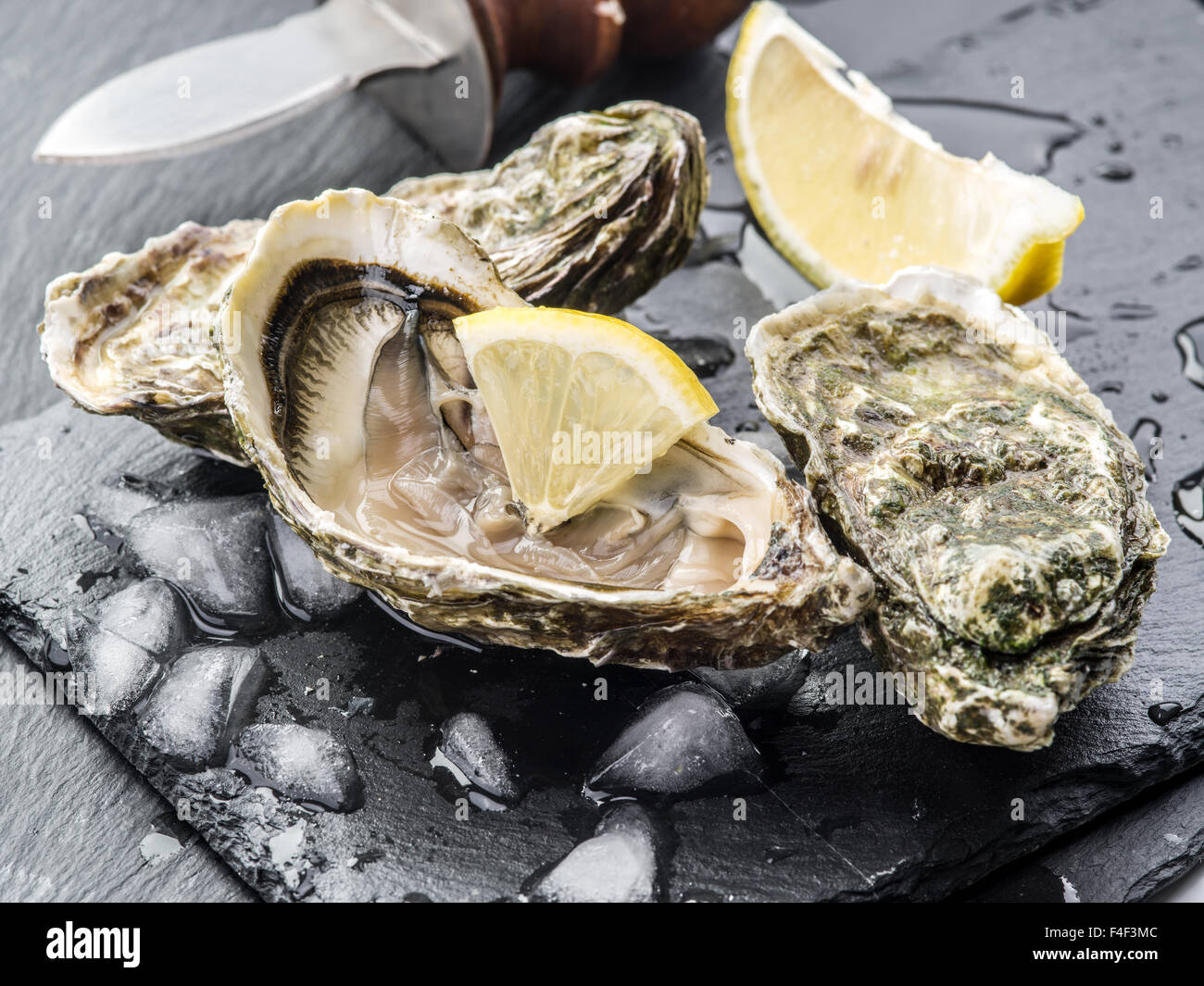 Oyster gourmet hi-res stock photography and images - Alamy