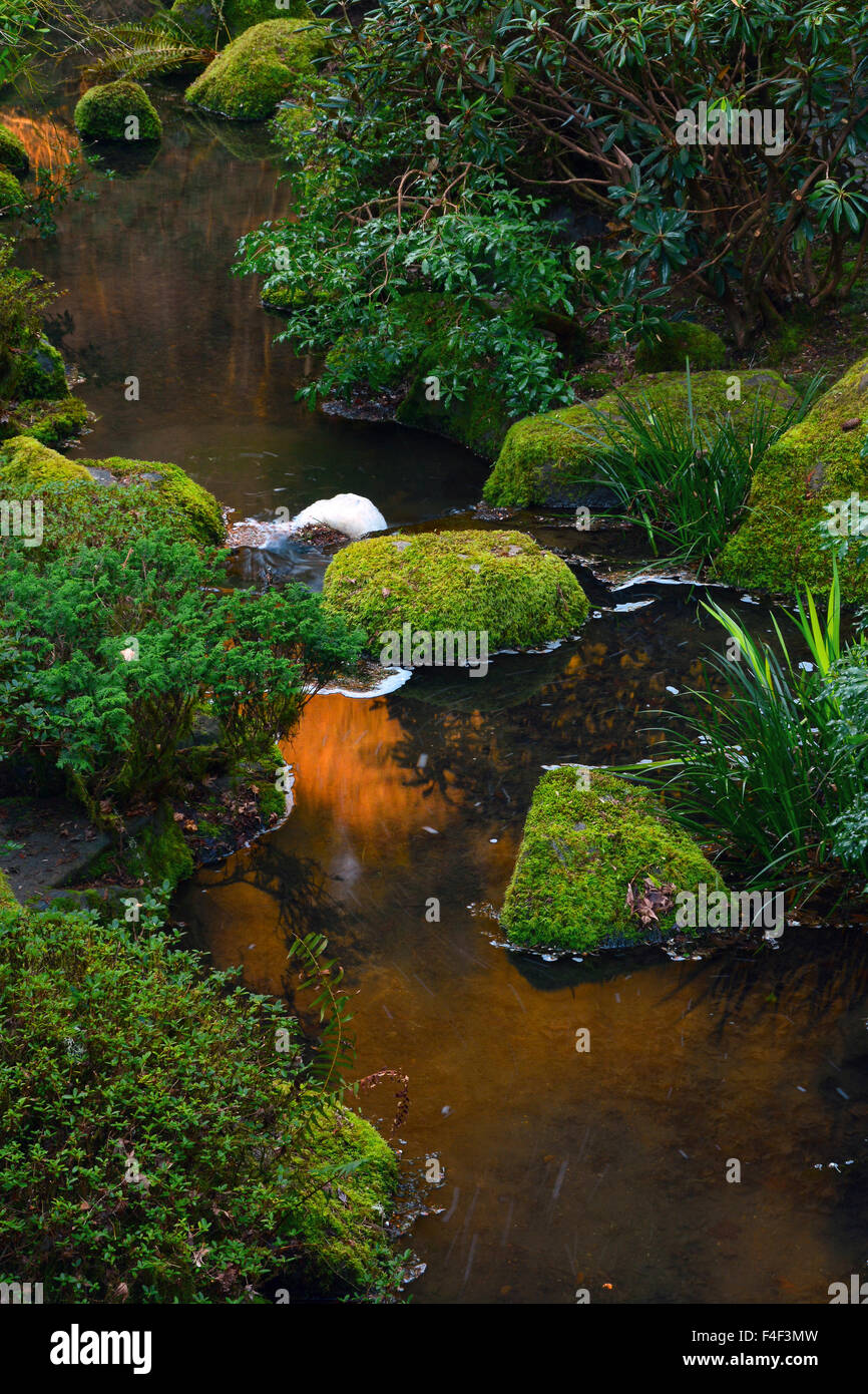 Portland tea garden hi-res stock photography and images - Alamy