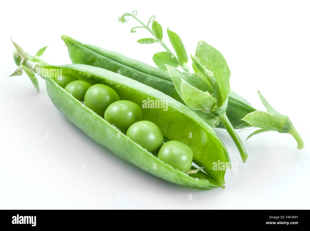 Open pea pod on a white background Stock Photo - Alamy