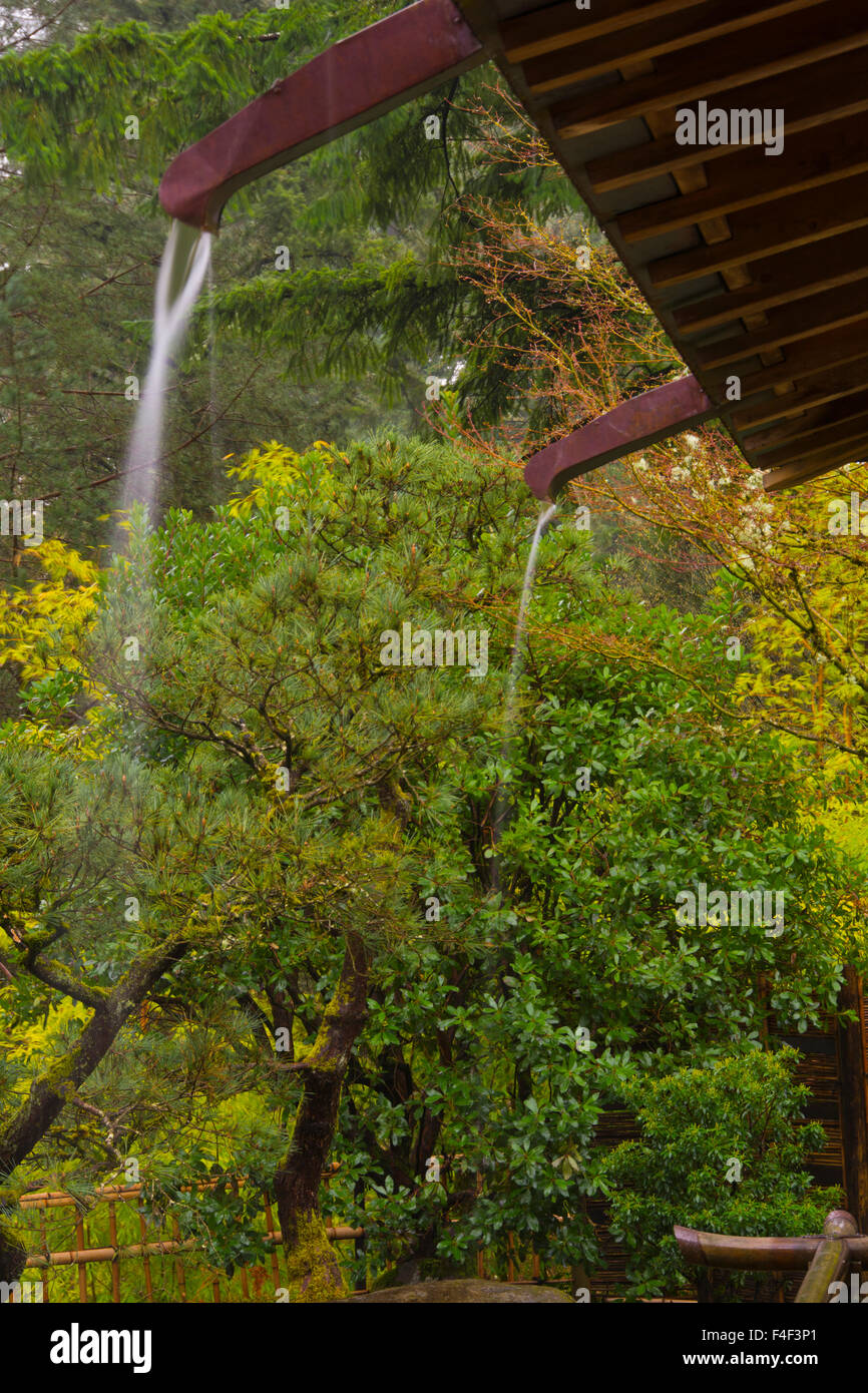 Portland oregon green roof hi-res stock photography and images - Alamy