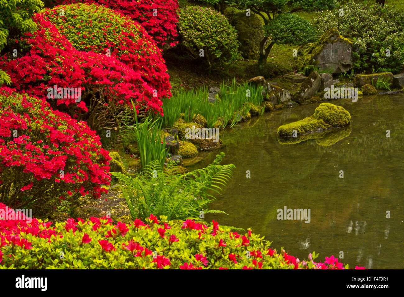 Portland Japanese Garden, spring, Portland, Oregon, USA. (PR Stock Photo - Alamy