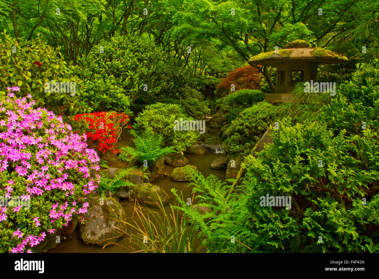 Springtime, Portland Japanese Garden, Portland, Oregon, USA (PR Stock ...