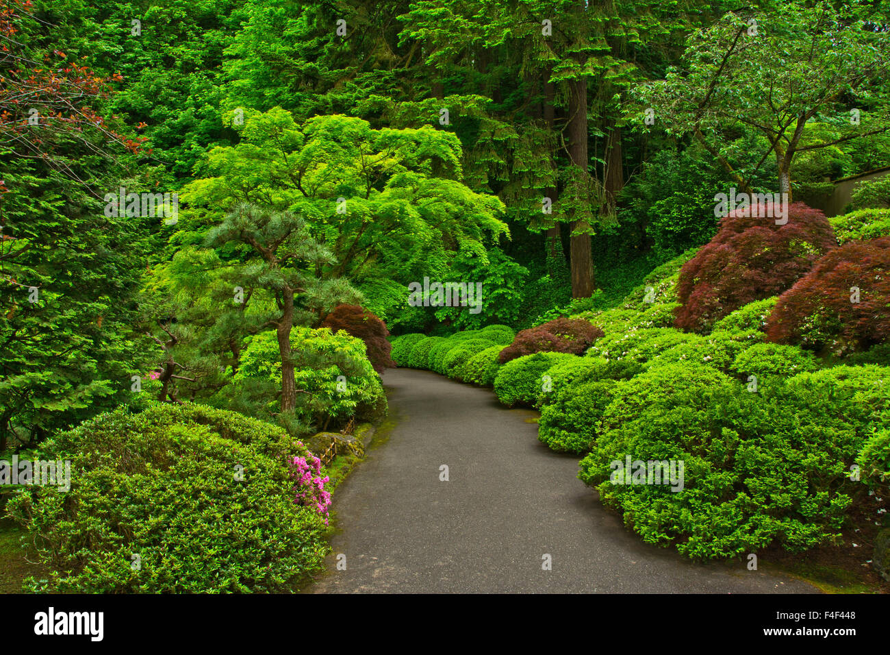 Strolling Garden, early spring, Portland Japanese Garden, Portland ...