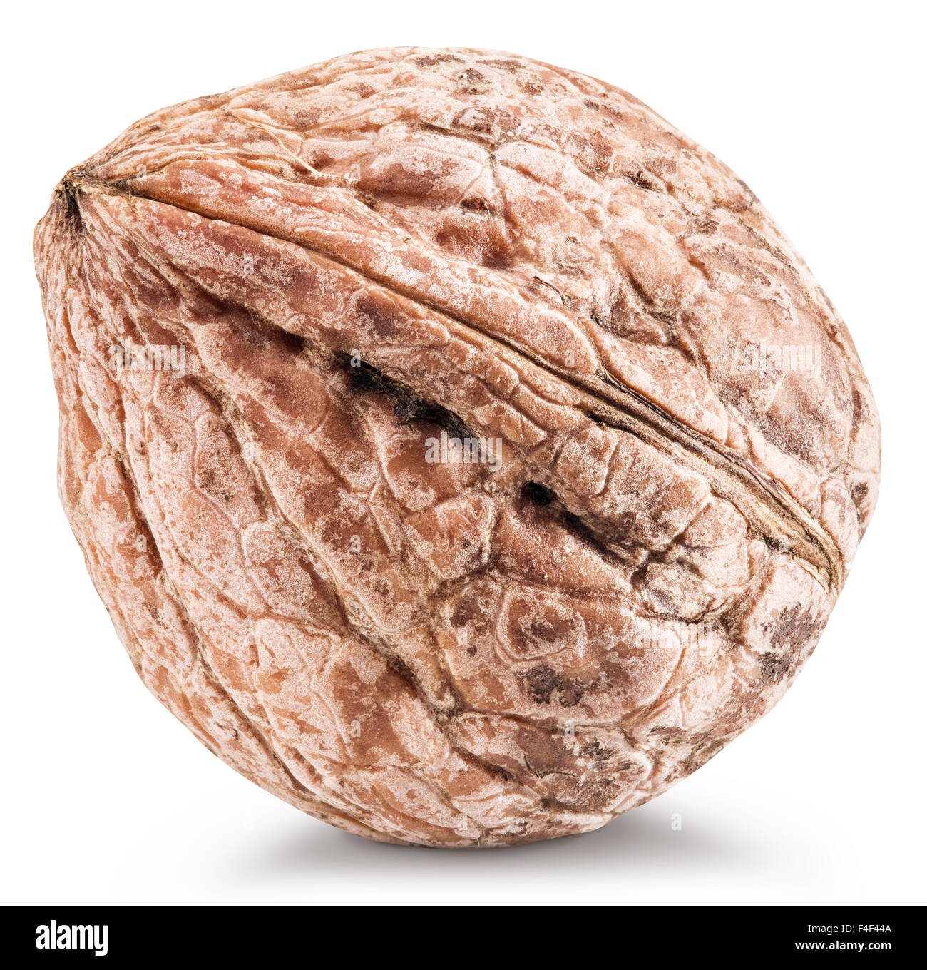 One whole walnut. File contains clipping paths Stock Photo - Alamy