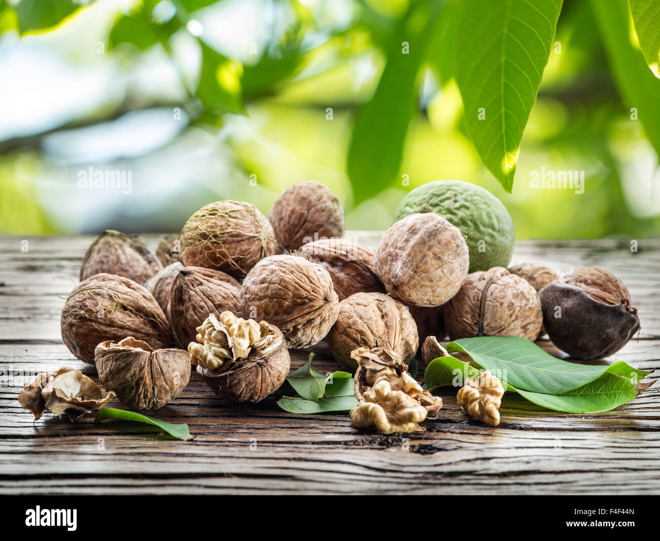 Walnuts hi-res stock photography and images - Alamy