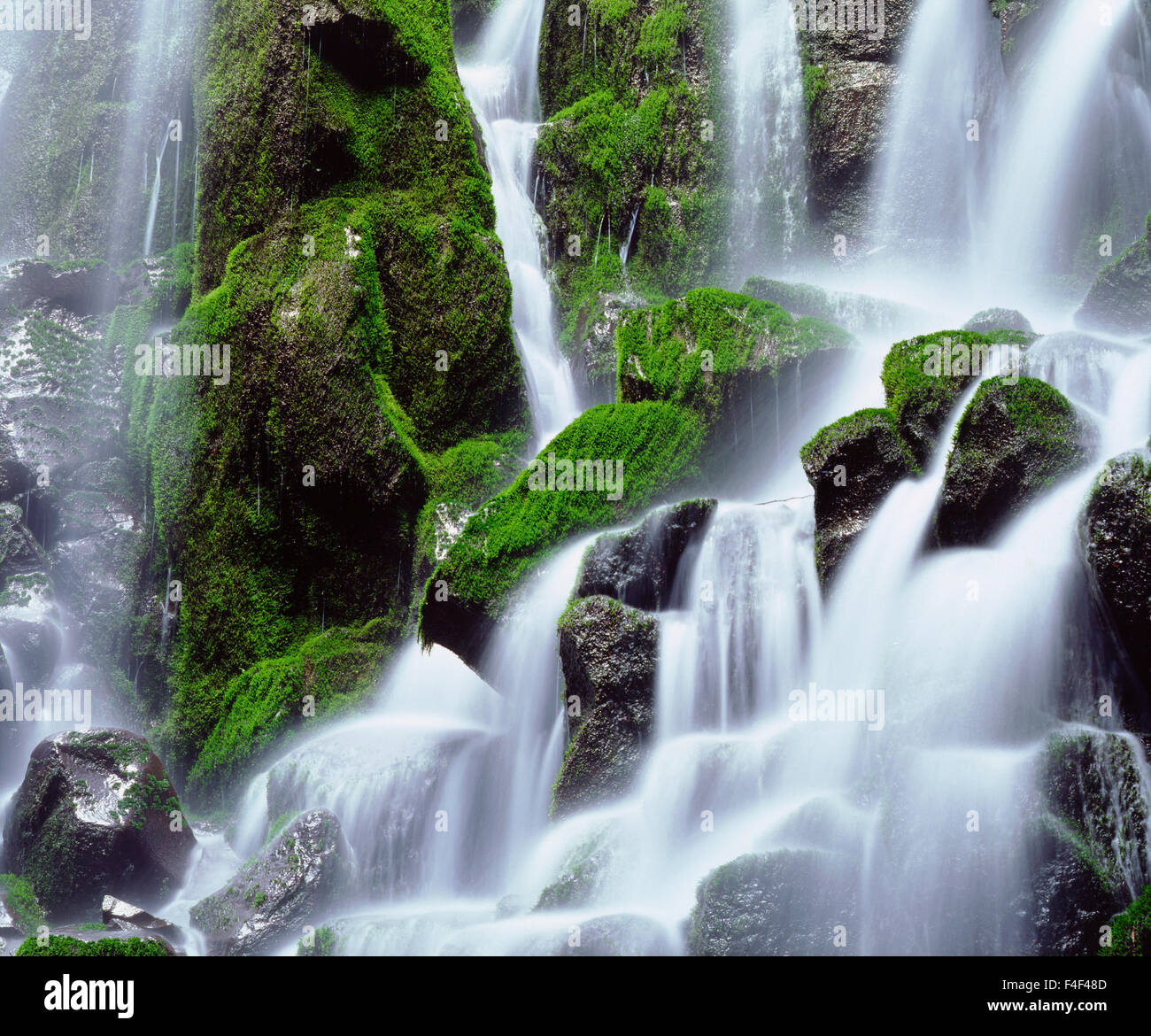 USA, Oregon, Mount Hood, Ramona Falls. Credit as: Christopher Talbot ...
