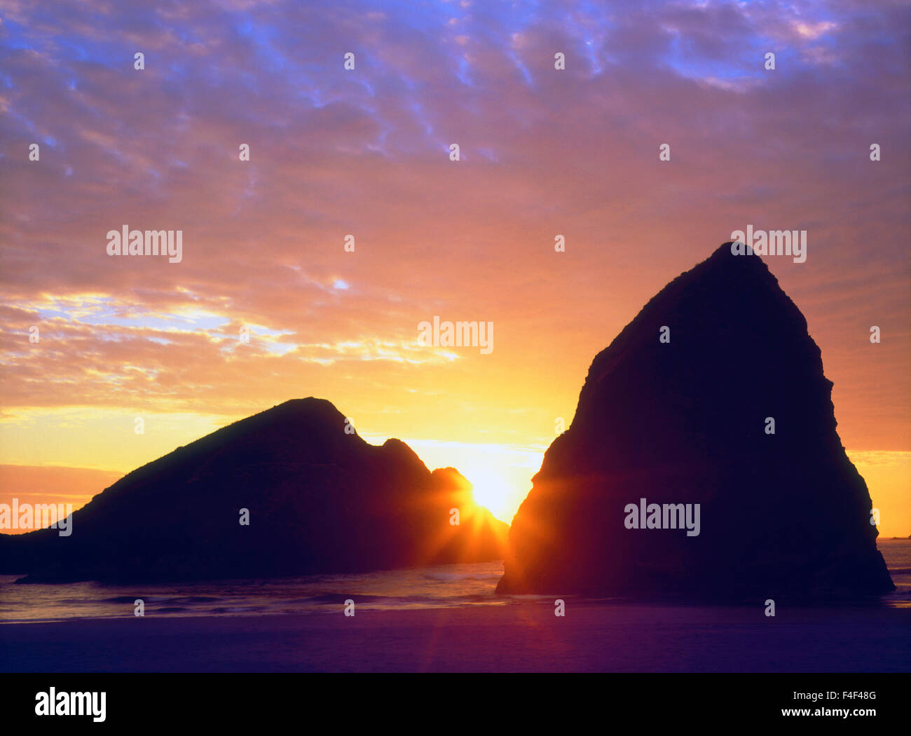 Frank beach hi-res stock photography and images - Alamy